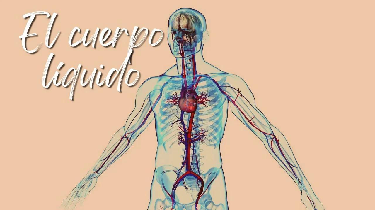 El cuerpo líquido | Técnica Alexander | Felipe Bojórquez Espinosa