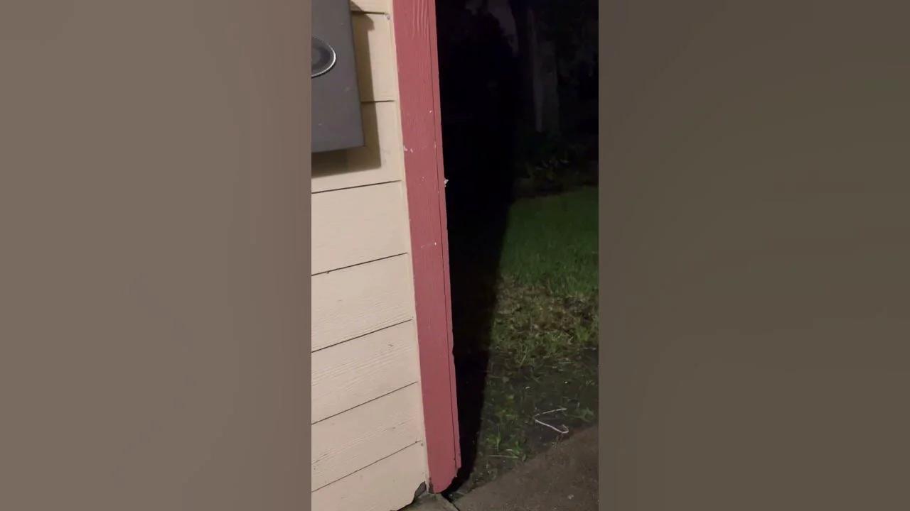 Feels Like Something Watching Me