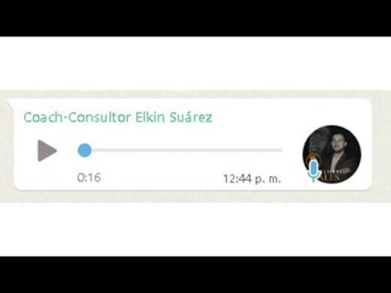 Audio de Leonardo Cositorto a Elkin Suarez!