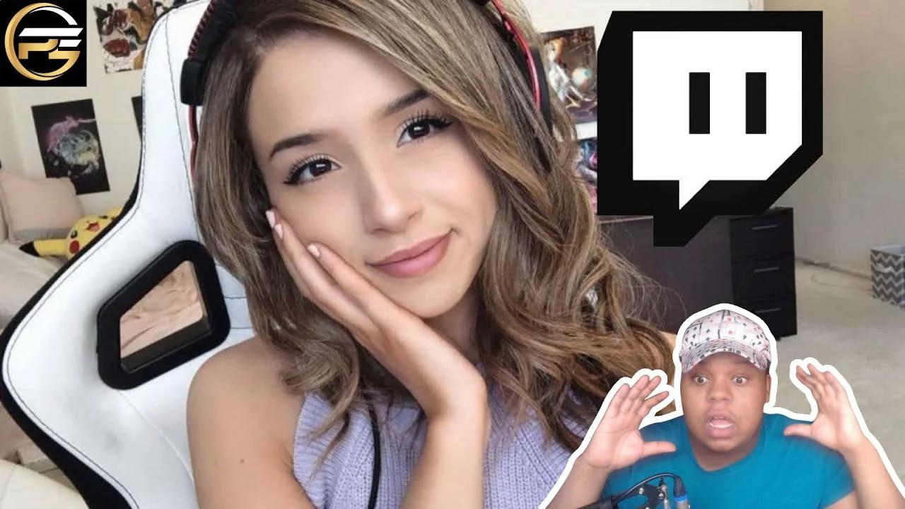 Massive Backlash Pokimane Income and More!