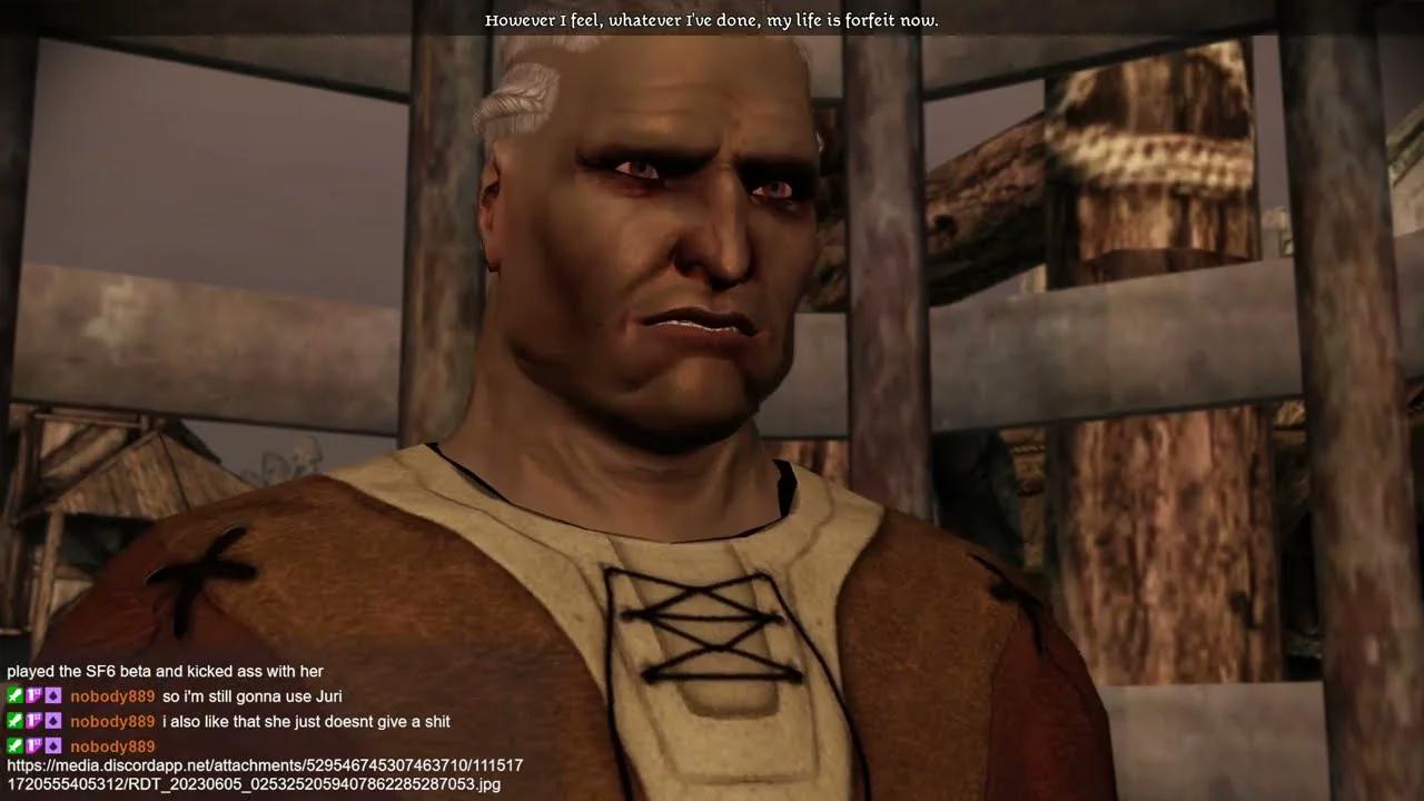 Dragon Age Origins - Sten