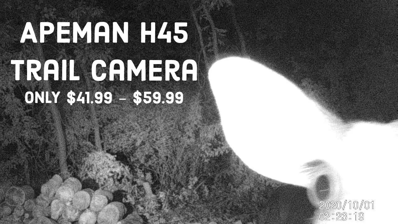 Apeman H45 Trail Camera - Full Review | Setup | Samples | Great Value!