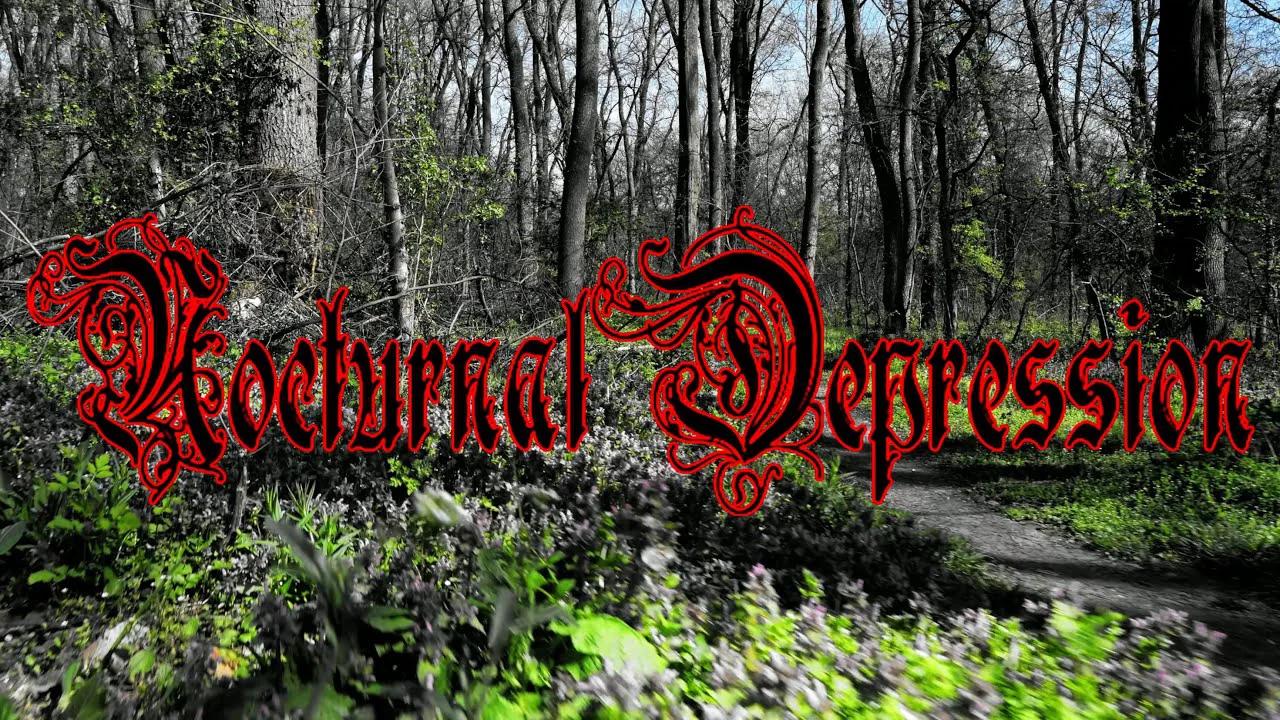 Nocturnal Depression - Un immense désespoir cover