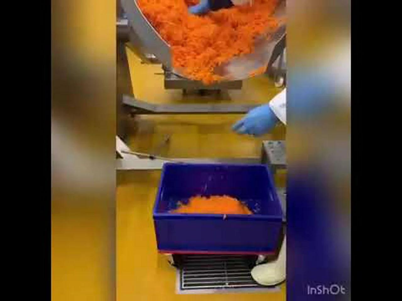 julienne carottes extra longue Machine de découpe pour trancher, râper ...