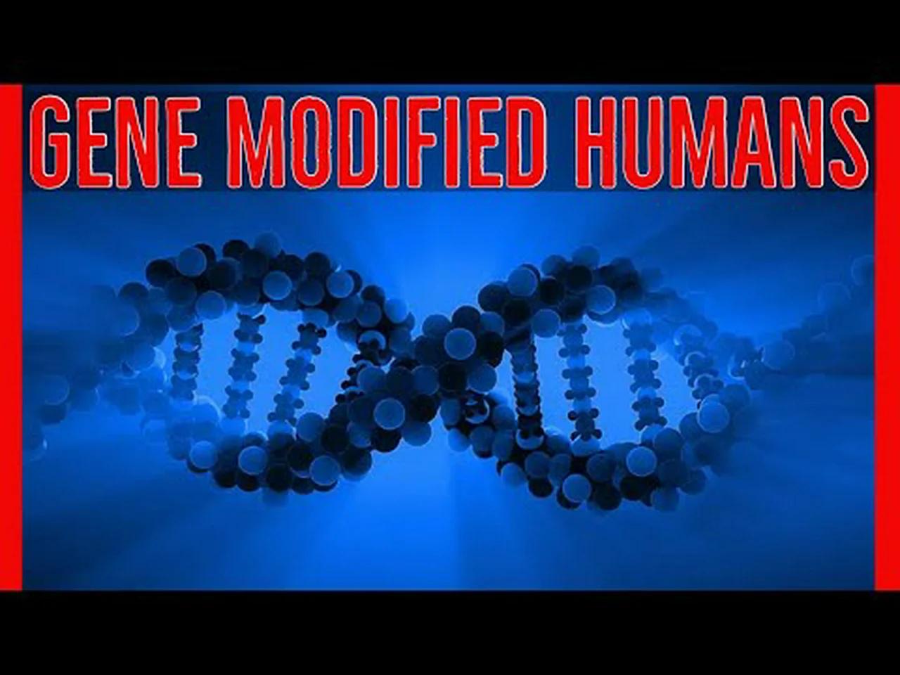 Genetically modified humans