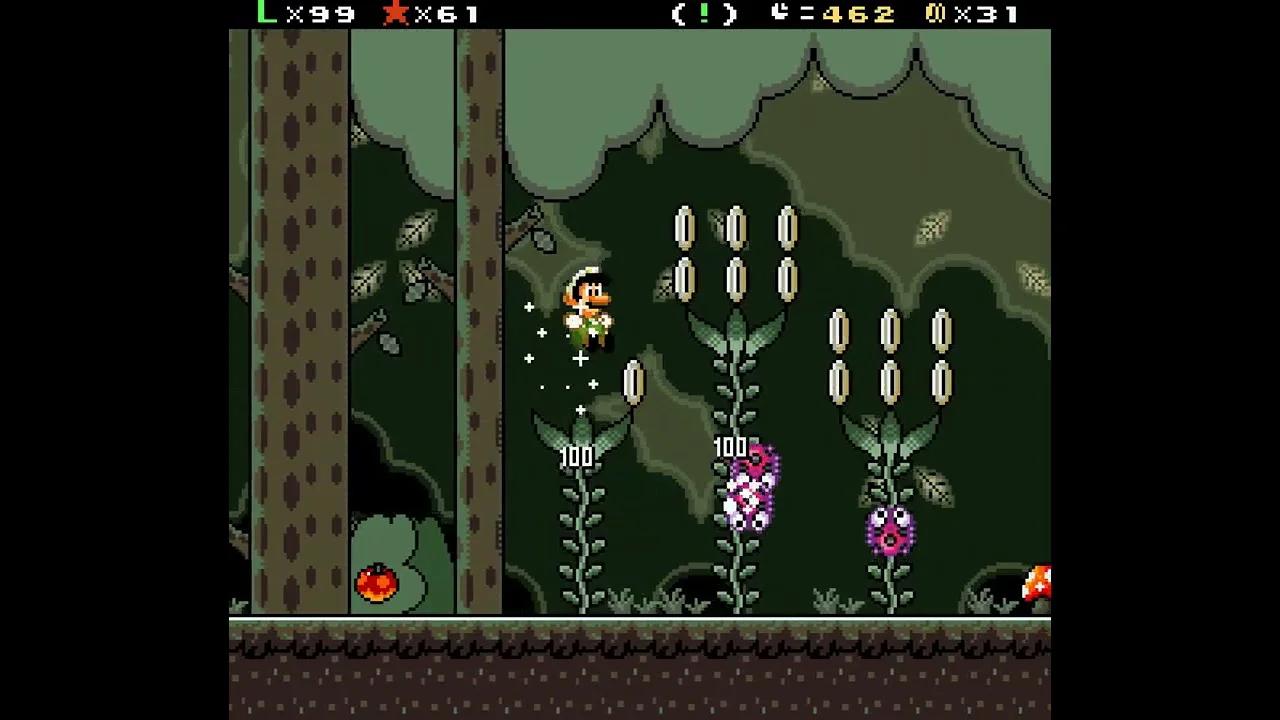 Super Mario World: The Princess Rescue 2 - Luigi's Journey! - Hoopster ...