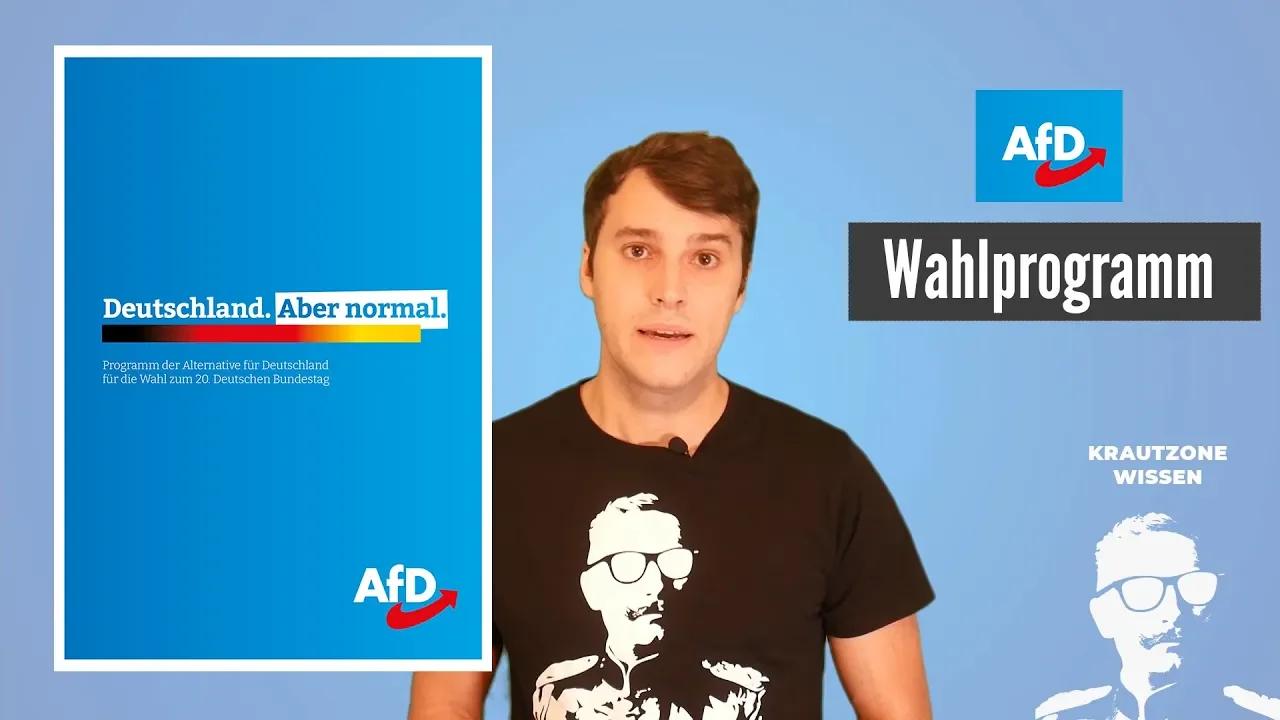 Was taugt das Wahlprogramm der AfD?