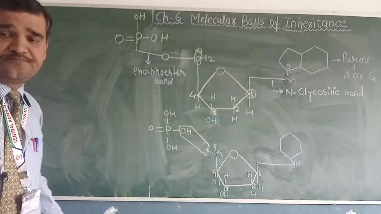 Class XII Ch 6 Molecular Basis of Inheritance Part 2 Class XII Ch 6 Molecular Basis of Inheritance Part 2
