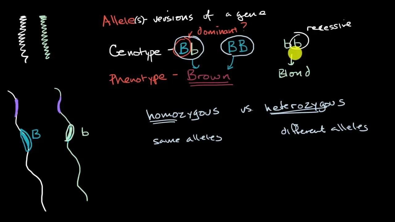 Genetics vocabulary | Inheritance and variation | Middle school biology | Khan Academy