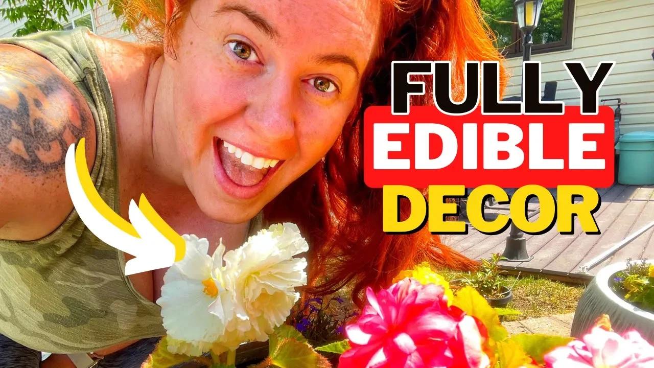 Edible Containers! Nobody Can Tell The Difference.