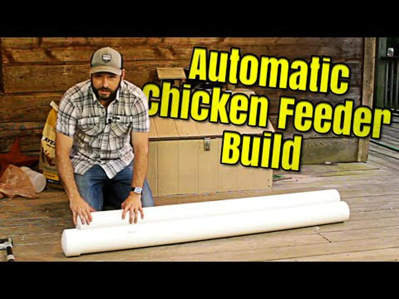 Building a DIY Automatic Chicken Feeder