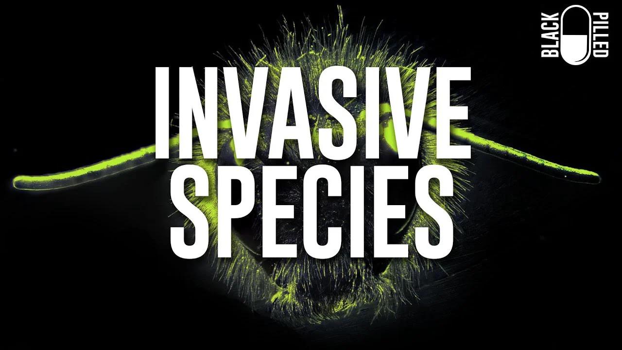 Invasive Species