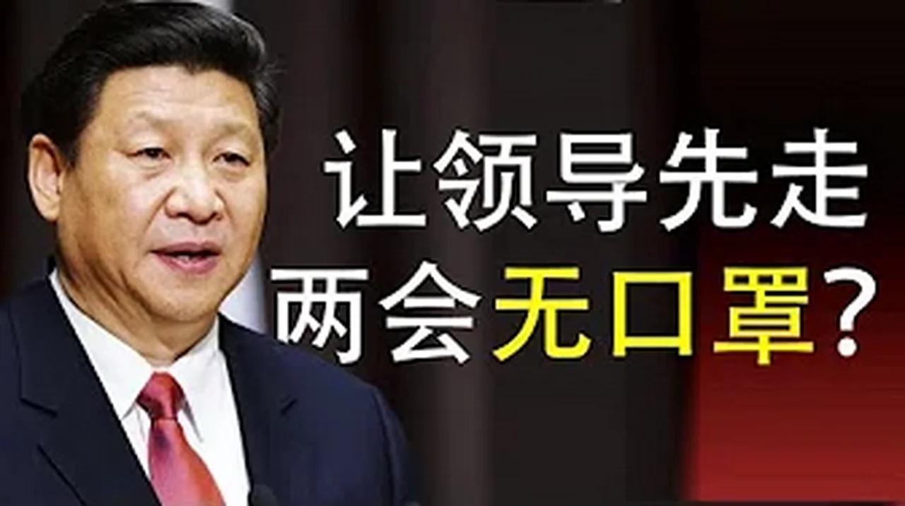 两会如期召开,而且不戴口罩? 想“让领导先走”？ (政论天下第110集 20200212)天亮时分