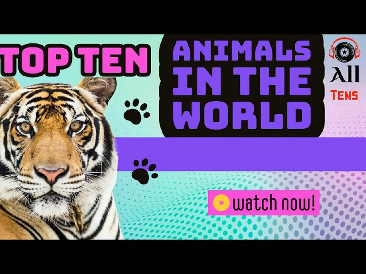 Top Ten Animals of the World