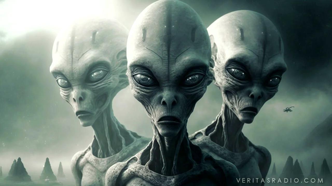 DANIELLE SILVERMAN & JOHN BIGGERSTAFF, PHD : GRAY ALIENS & ARTIFICIAL ...