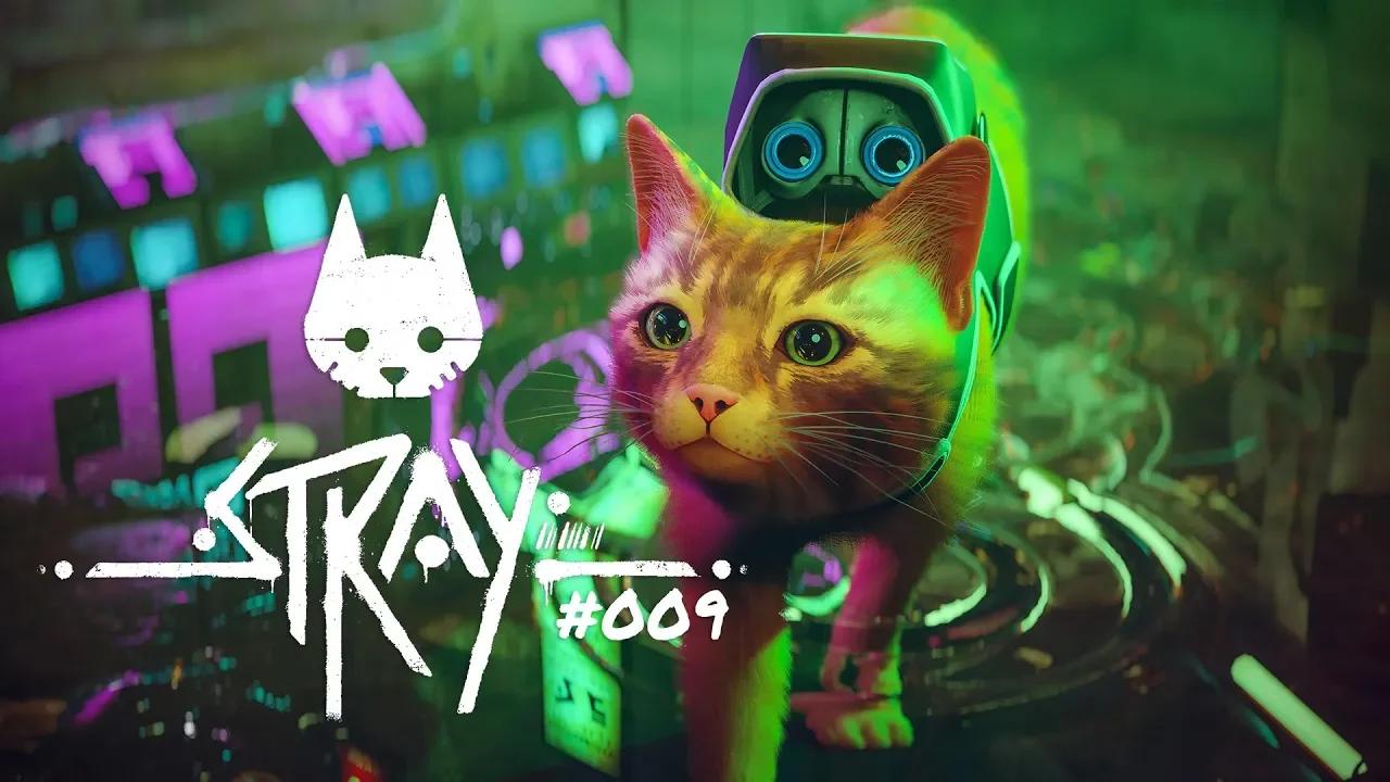 🙀 STRAY PC Gameplay Walkthrough Part #09 (2K 60FPS) No Commentary