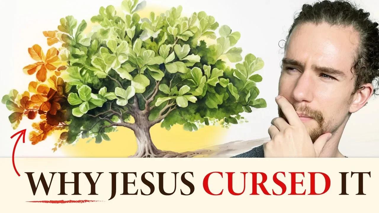 Bearing Fruits of the Holy Spirit - Parable of the Fig Tree