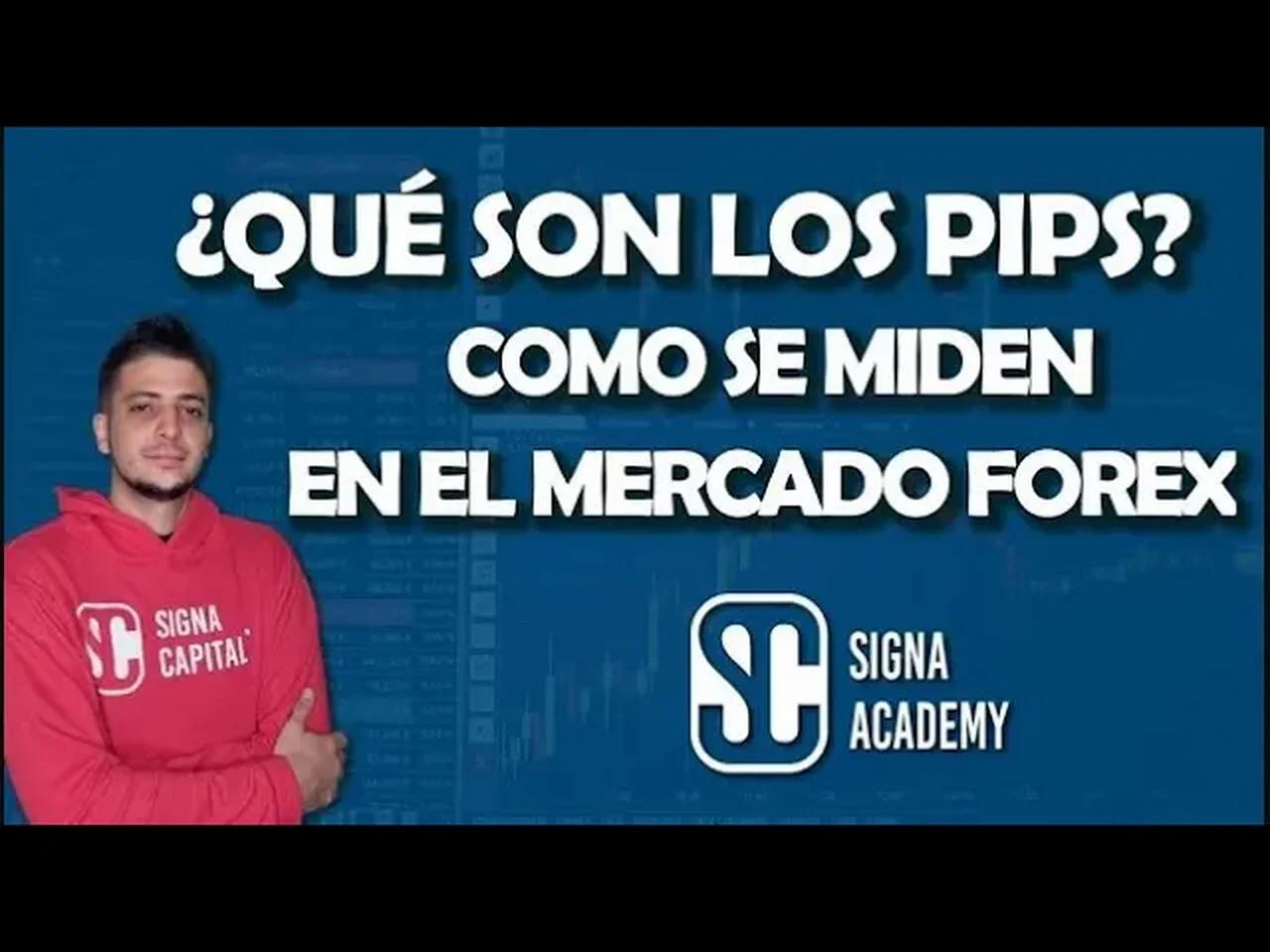 ¿Qué son los PIPS? - ¿Cómo se miden dentro del mercado FOREX? - El ABC ...