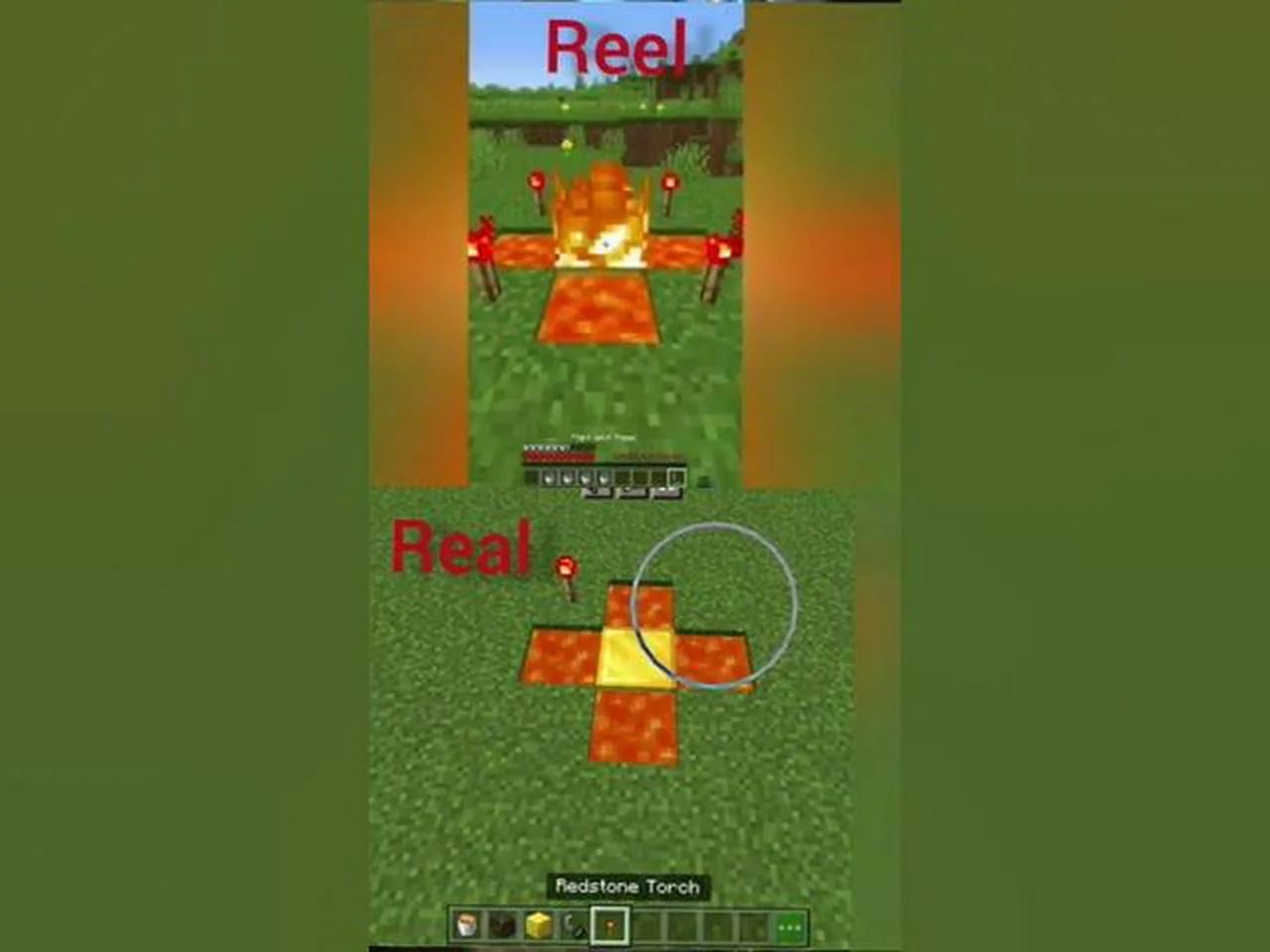 minecraft fake vs real |Minecraft reality #shorts #minecraft