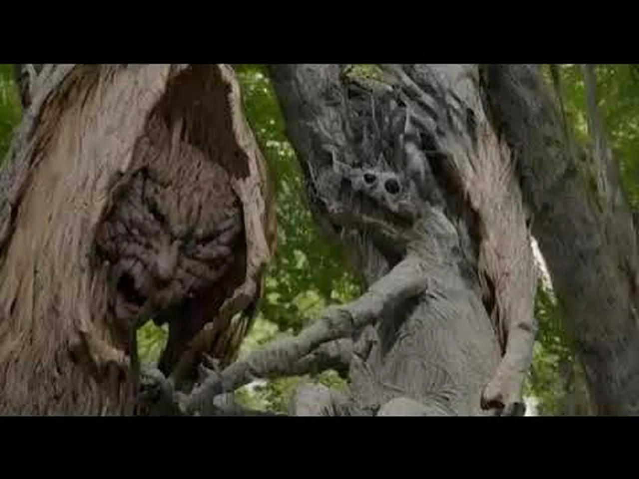 "Metamorphosis: Humanity's Harmonious Evolution in Nature's Embrace"
