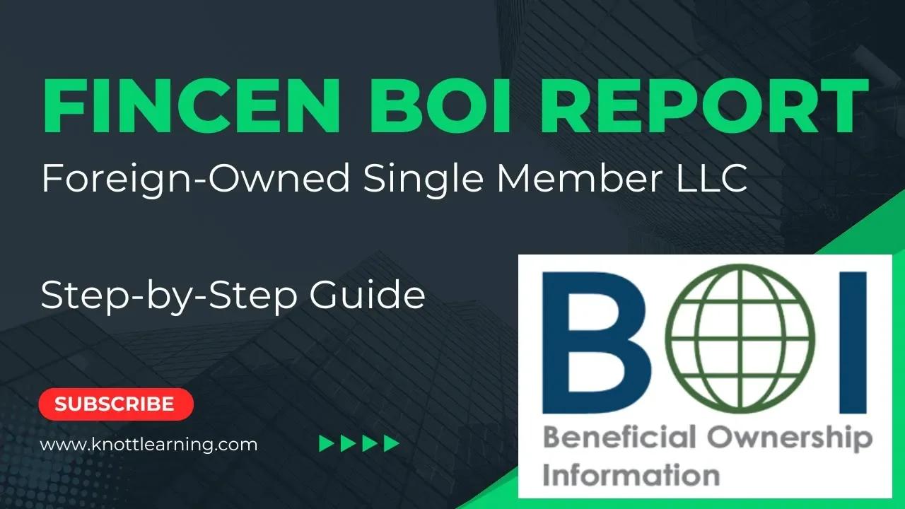 How to File BOI Report with FinCEN - Example for Single Member LLC