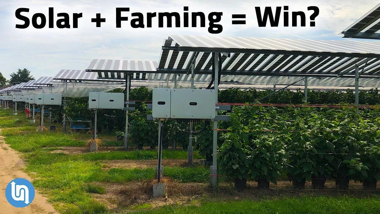 Solar Panels Plus Farming? Agrivoltaics Explained