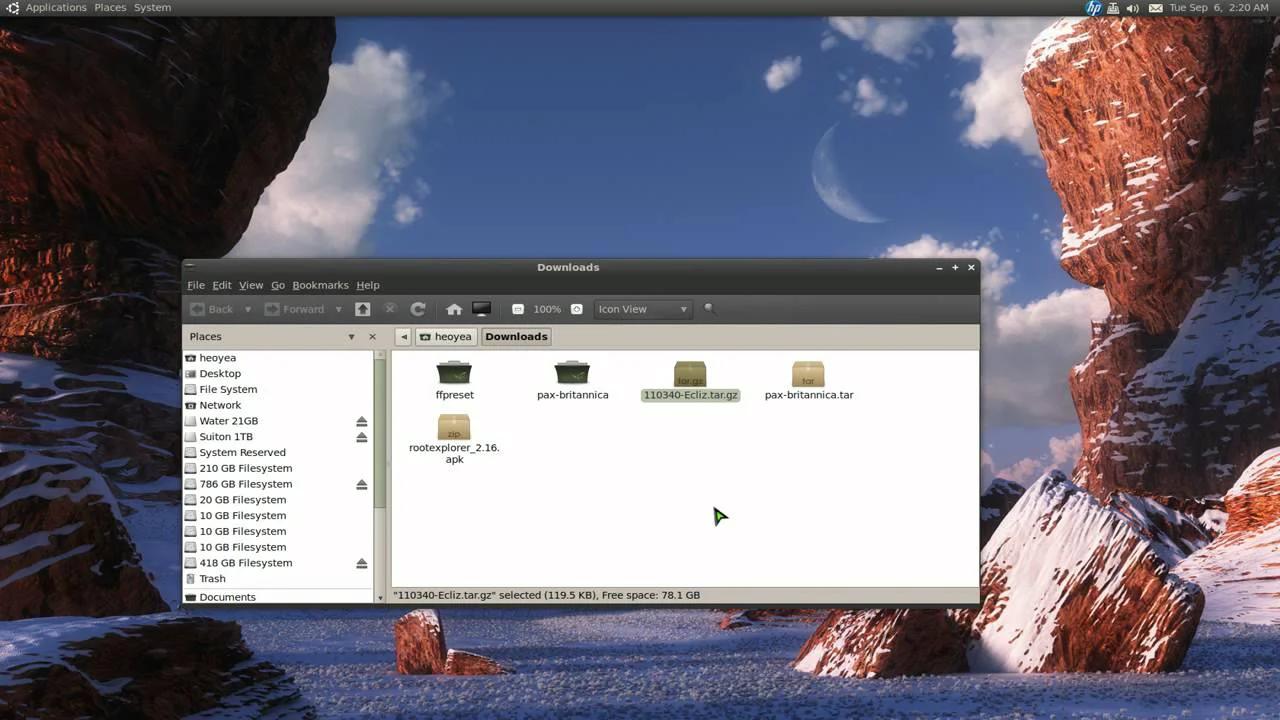 Install Mouse Cursors - Ubuntu 10.10