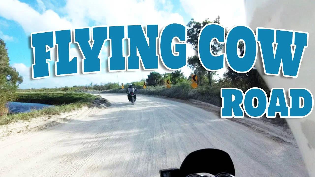 Flying Cow Road - Triumph Bonneville and KTM 390 Adventure!