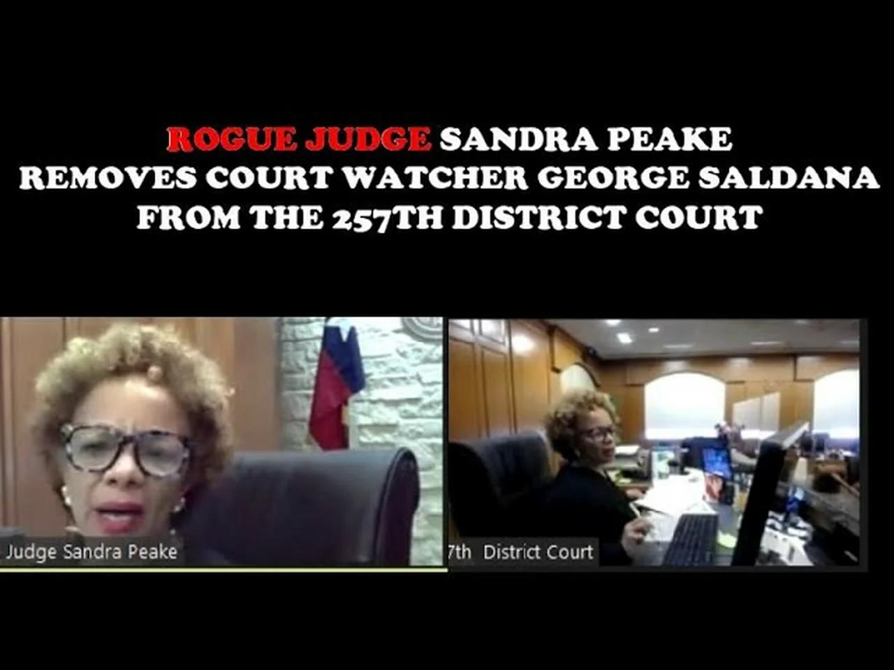 ROGUE PREJUDICED JUDGE SANDRA PEAKE REMOVES COURT WATCHER GEORGE ...