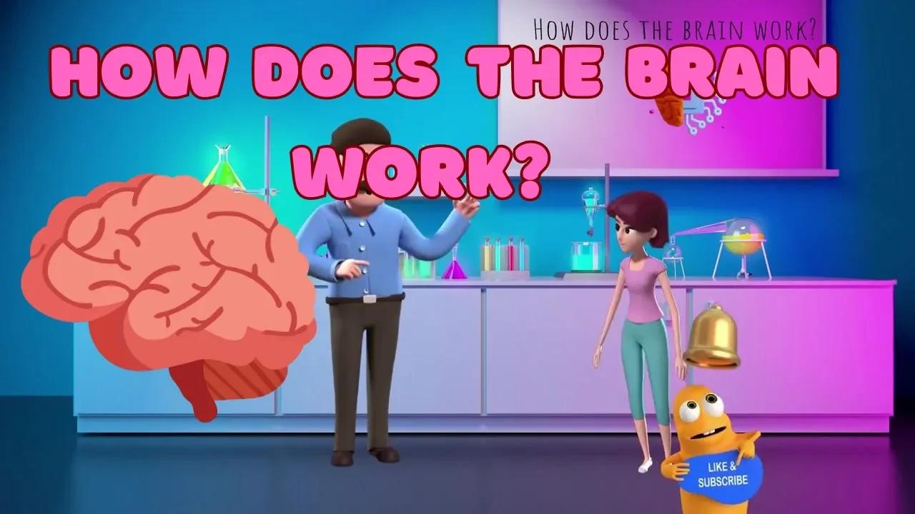 How does the brain work? 🧠1080 mp4