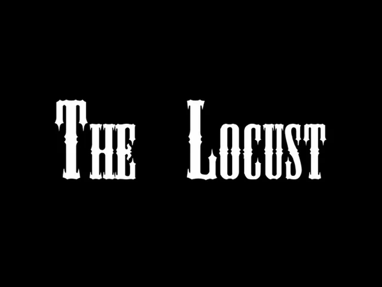 AWCY & SwarmTech: The Locust
