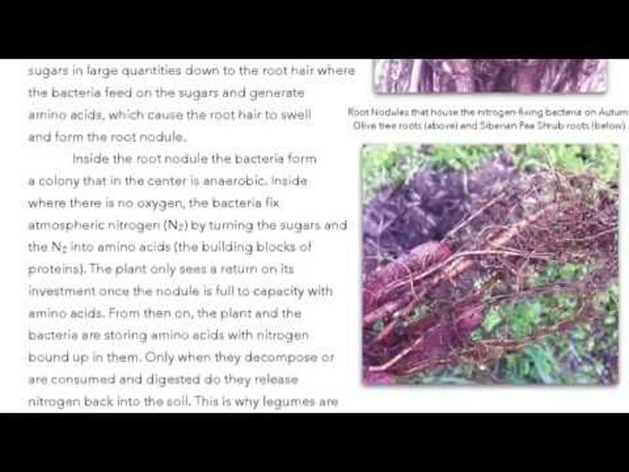 Chapter 7: Soil pt 4 | The Permaculture Student 2 by Matt Powers (FULL AUDIOBOOK)