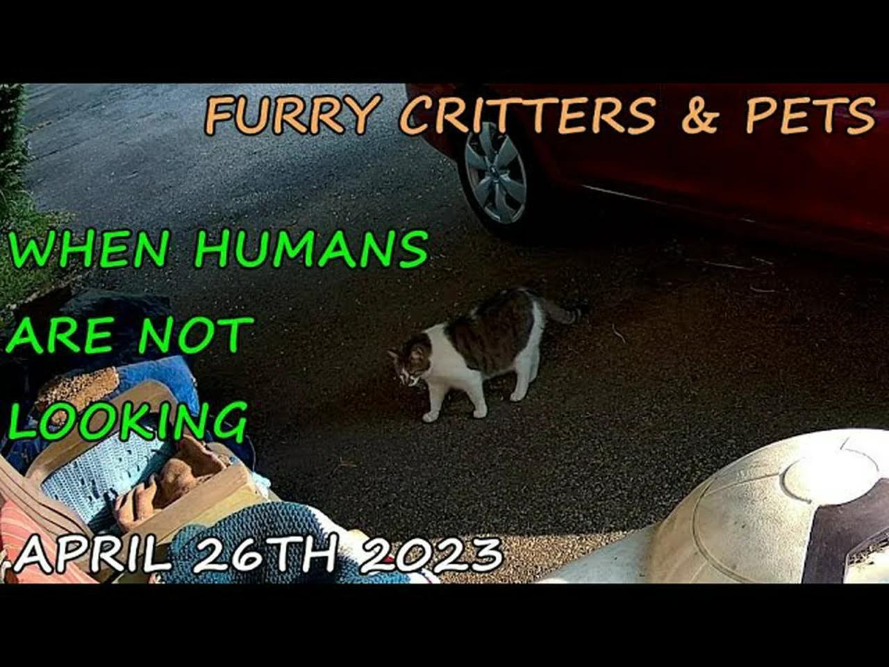 Furry Critters & Pets April 26th 2023