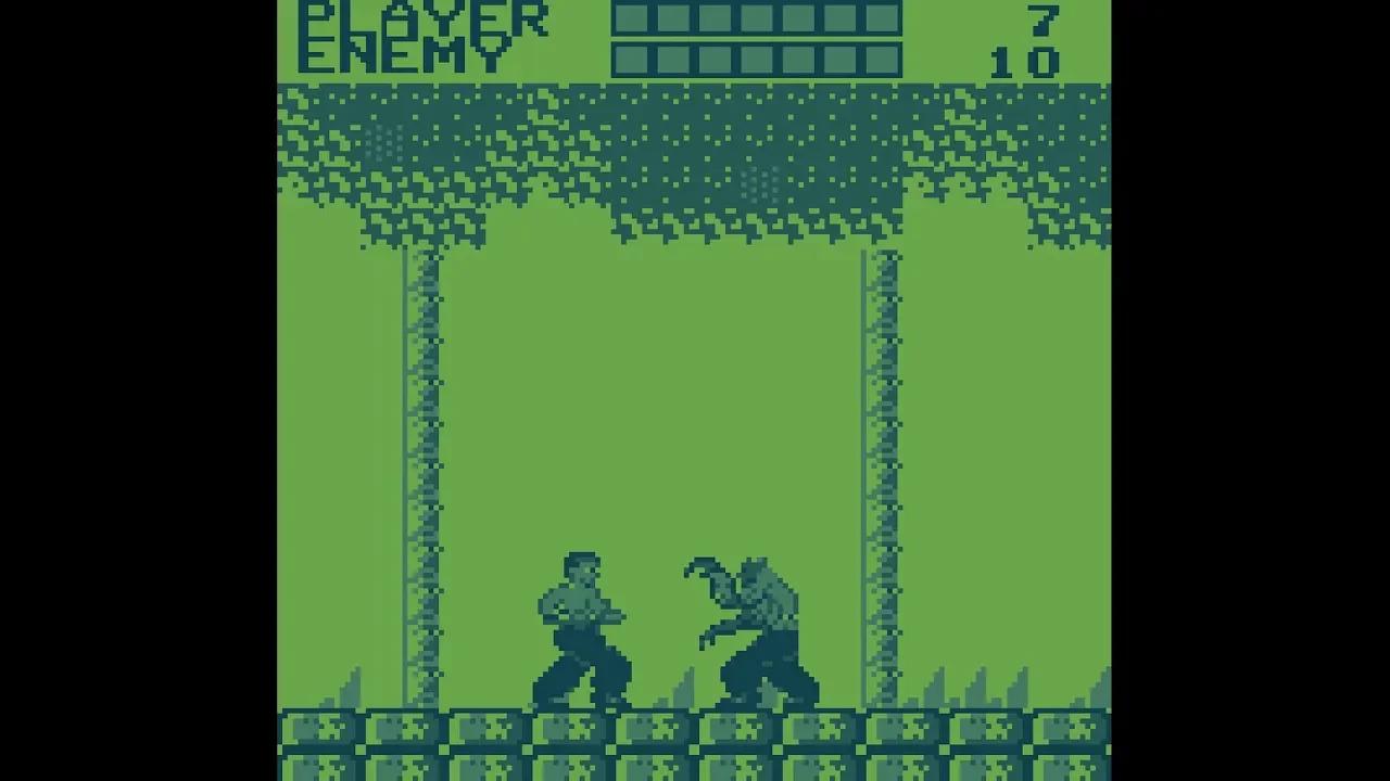 Gamate Game: Kung Fu Fighter (1990)