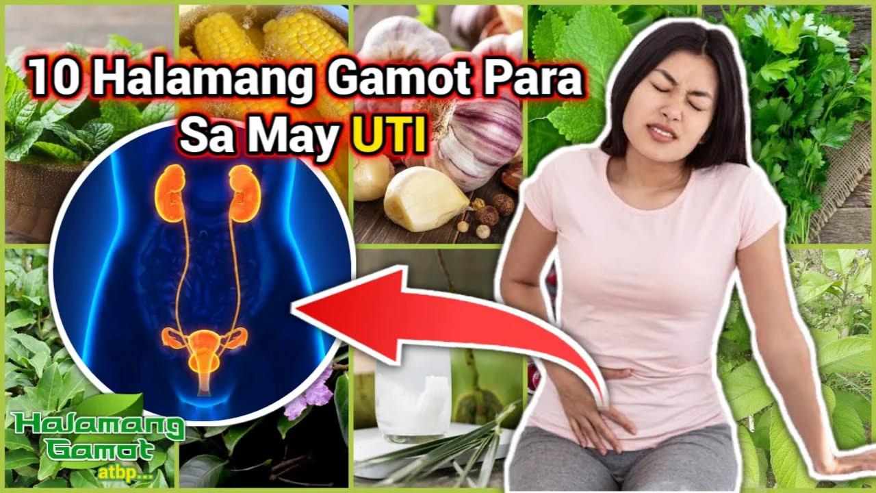 10 Halamang Gamot Para Sa May UTI | Halamang Gamot ATBP