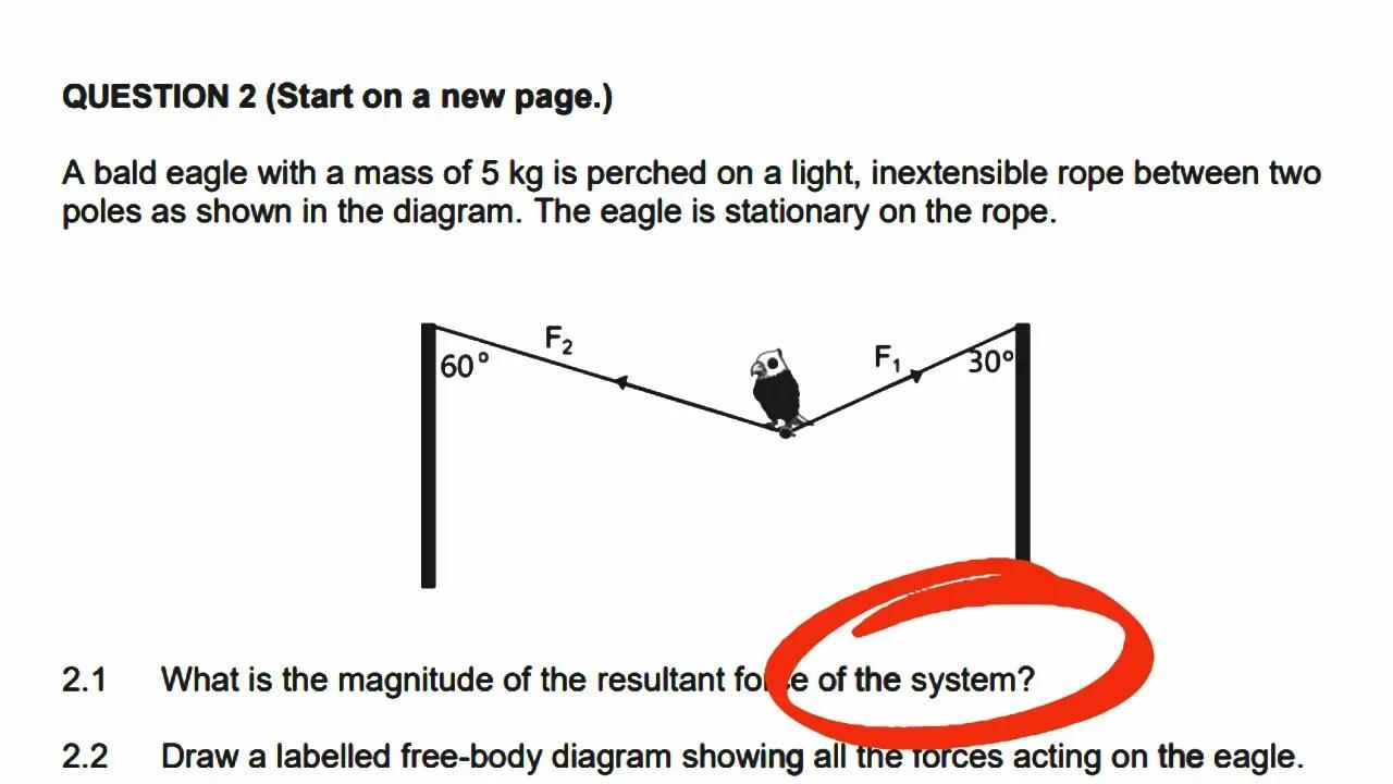 Vectors In Two Dimensions Grade 11 November 2021