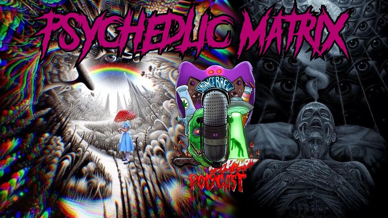 THE PSYCHEDELIC MATRIX | Tripping Through Reality w/ Forbidden ...