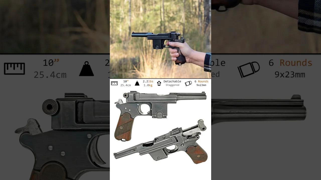 Danish Bergmann 1910