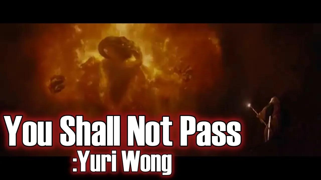 "You Shall Not Pass!" / Yuri Wong Gandalf Remix / Lord Of The Rings