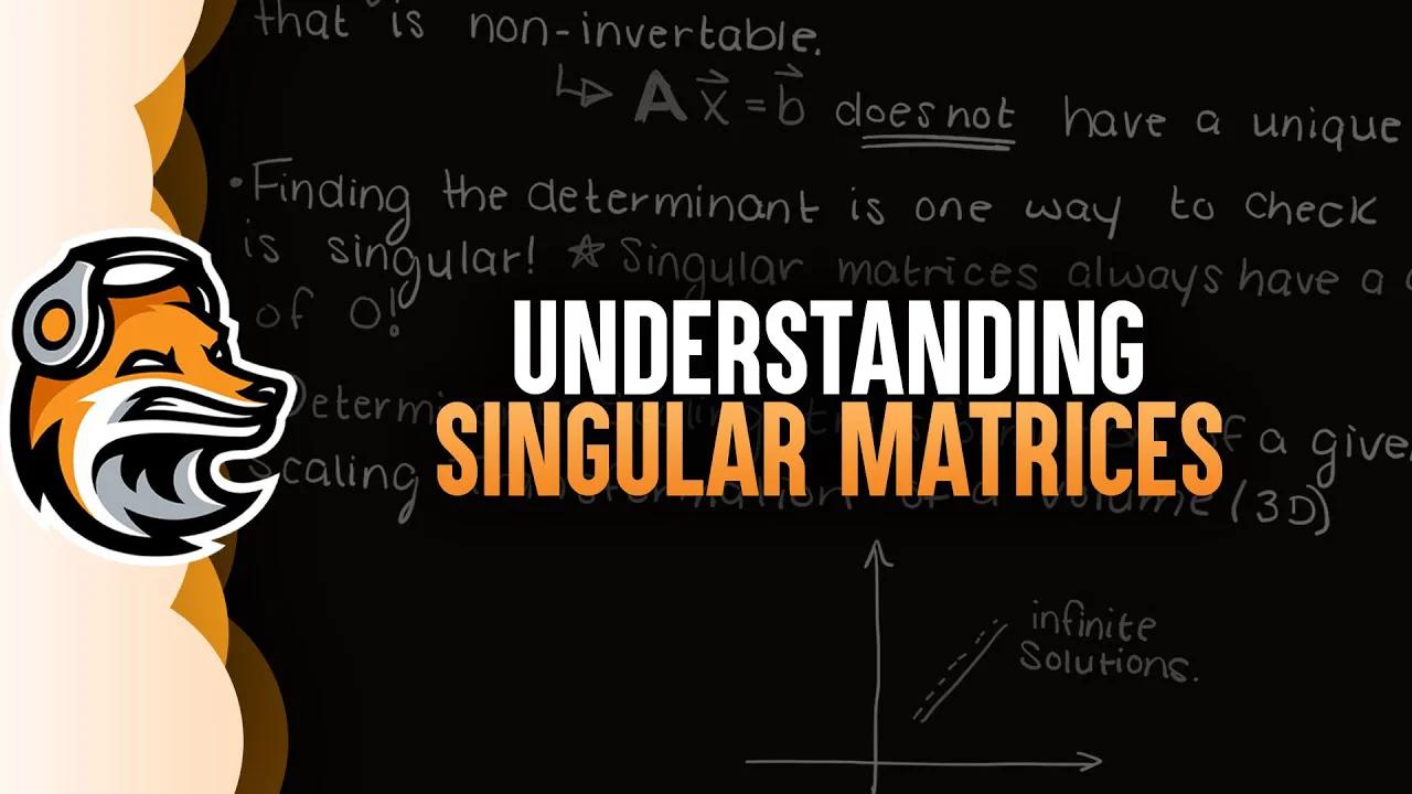 Understanding Singular Matrices