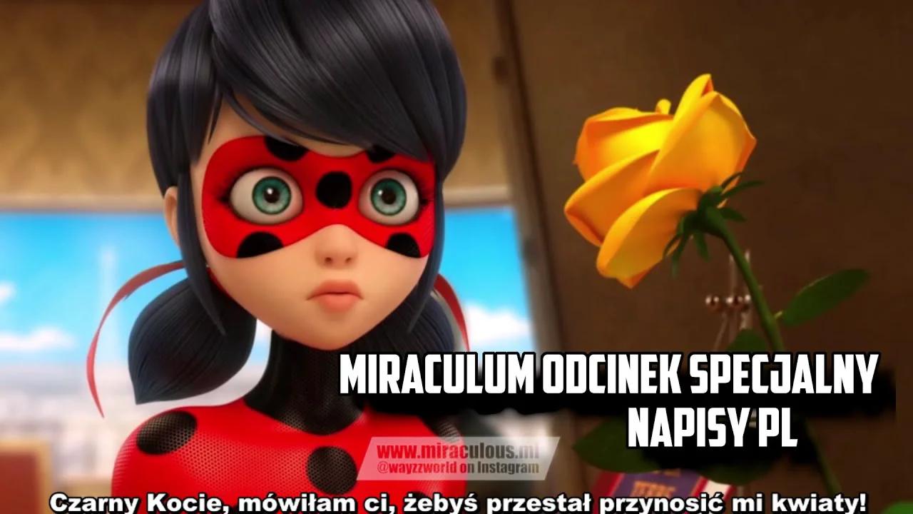 Miraculum Biedronka i Czarny Kot W Nowym Jorku [Napisy PL]