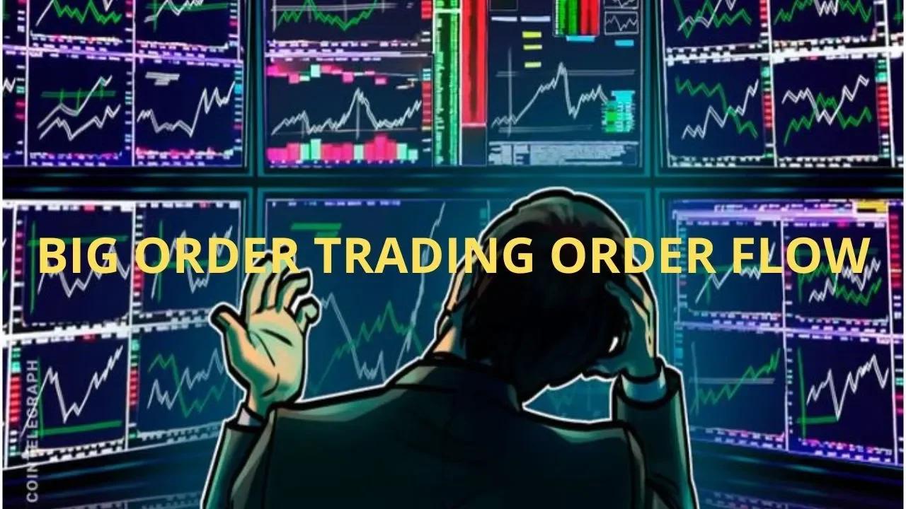 Comprendre les Big Orders et leur Impact sur le Flux des Ordres