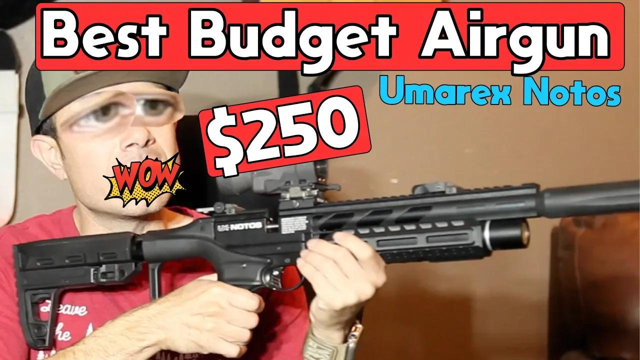 Best PCP Airgun Under $250