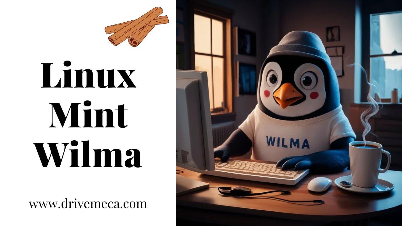 Linux Mint 22 Wilma Review - Guía de instalación paso a paso