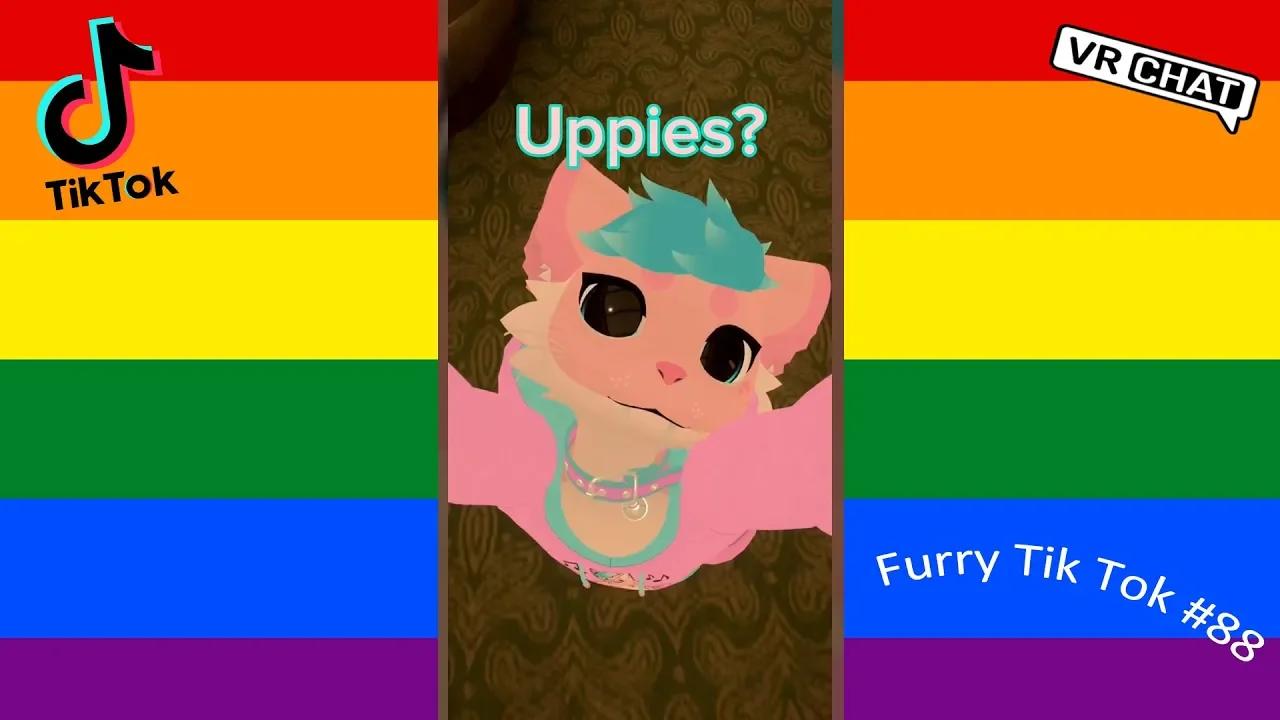 Furry TikTok's That Need Uppies #88