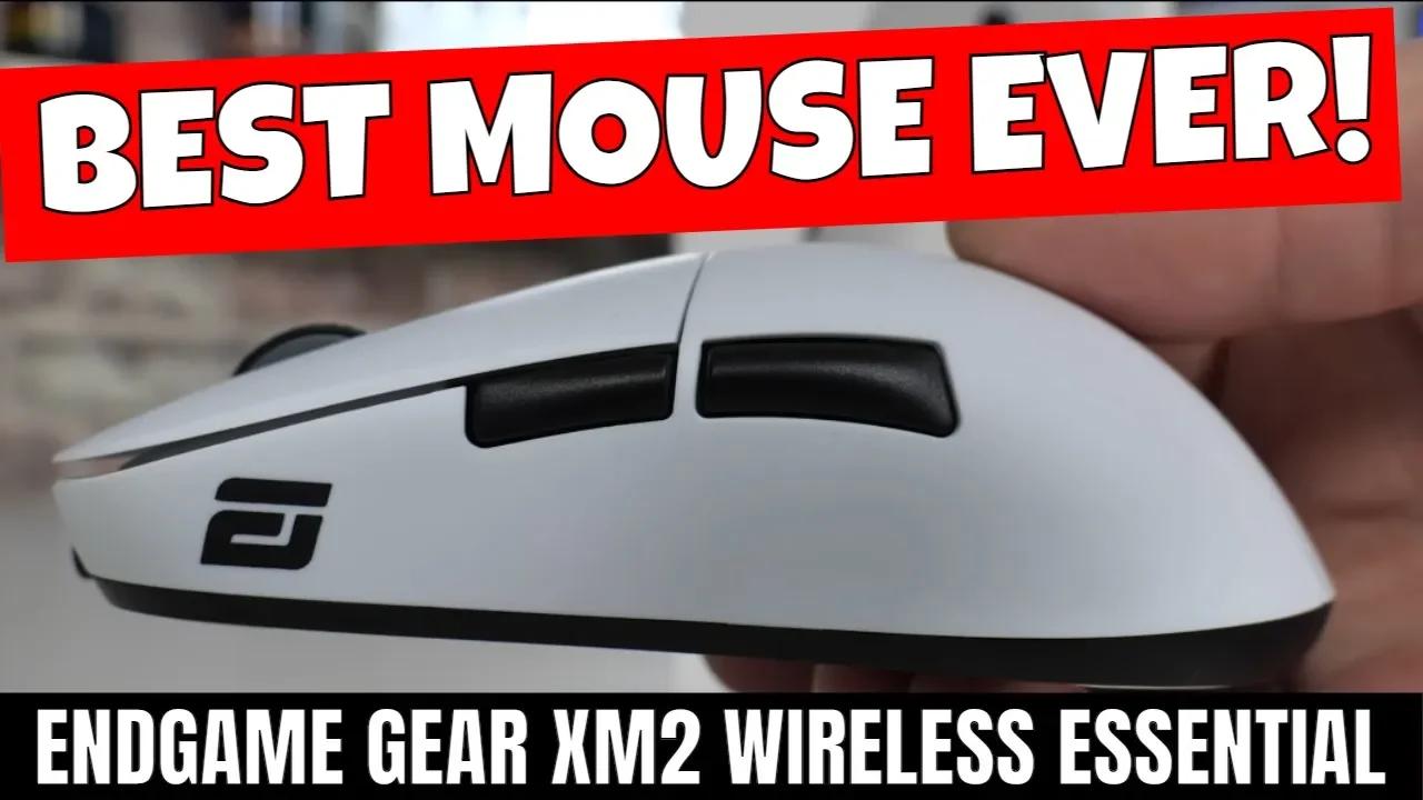 BEST Mouse I Have EVER Used End Game Gear XM2 WE Wireless Essential