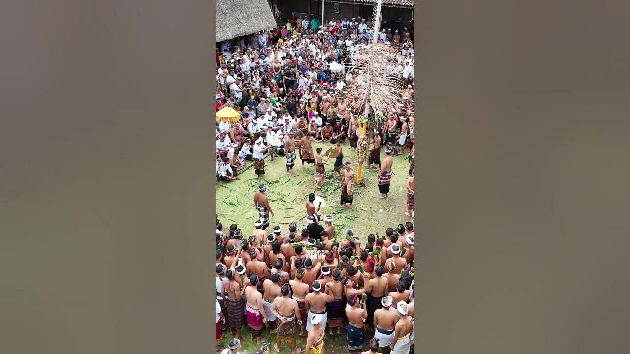 Perang Pandan Tenganan Dauh Tukad #PerangPandan #MekareKare # ...