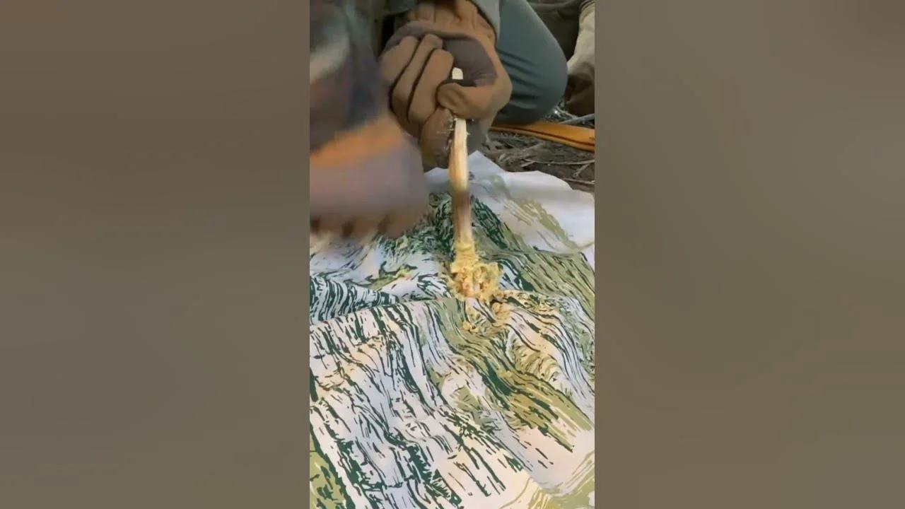 Sharp Spine and Fat Wood | Huntsman Woods Knife #knife #bushcraft #survival