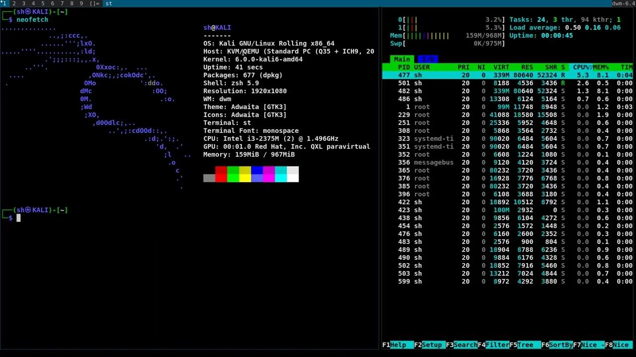 Kali Linux and DWM/ST: A Minimalistic and Customizable Setup ...