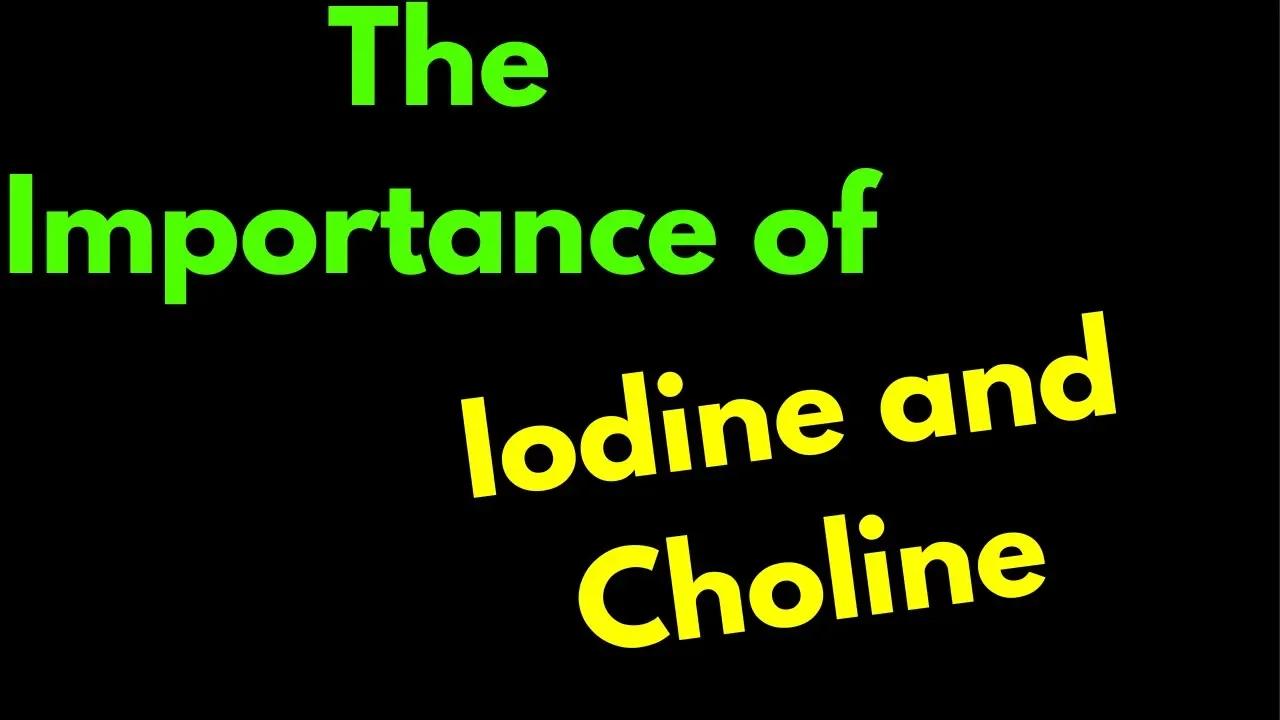 The Importance of Iodine and Choline | Choline Iodine Supplement Results!
